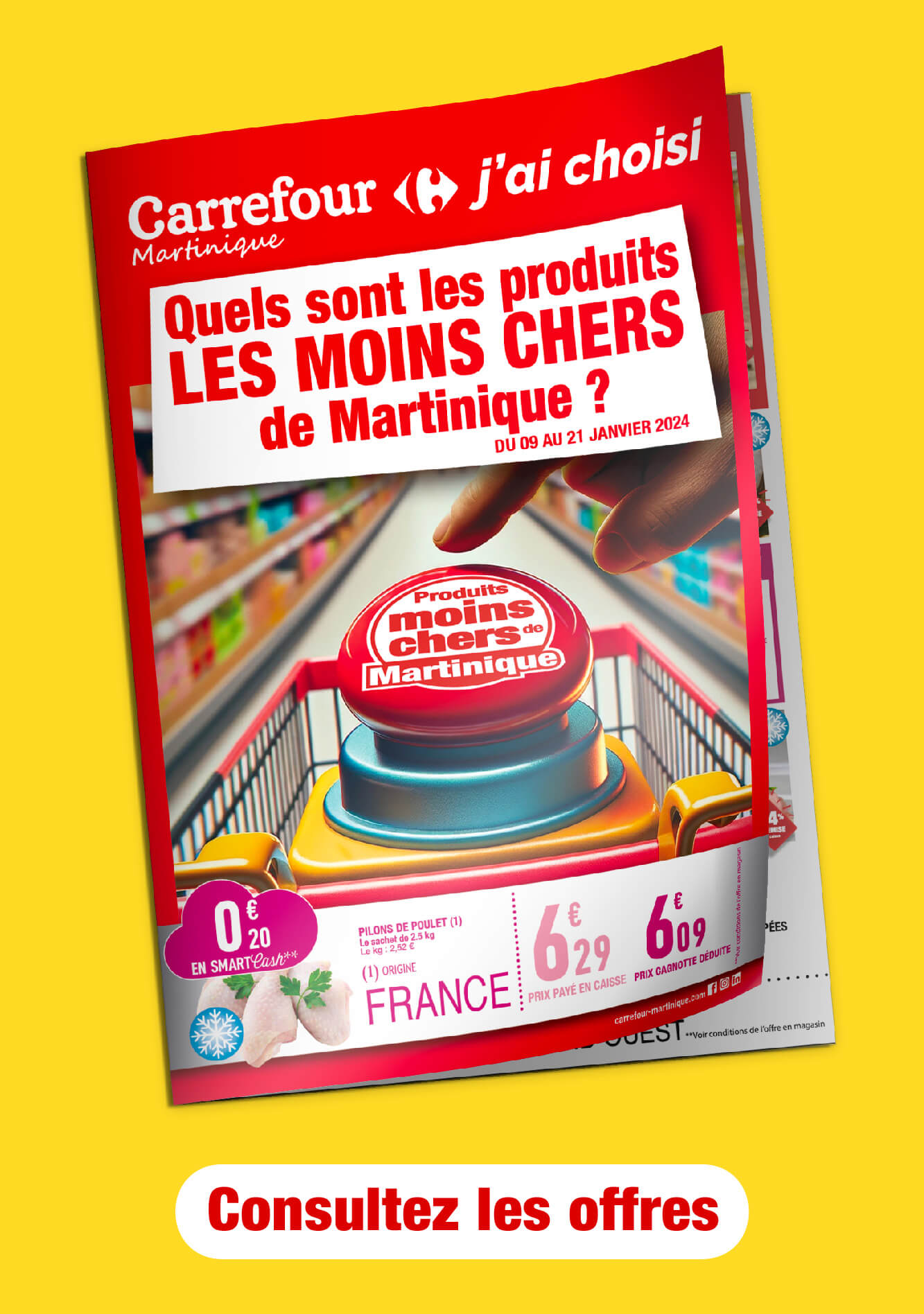 MCM - SIMPL - Surgelés